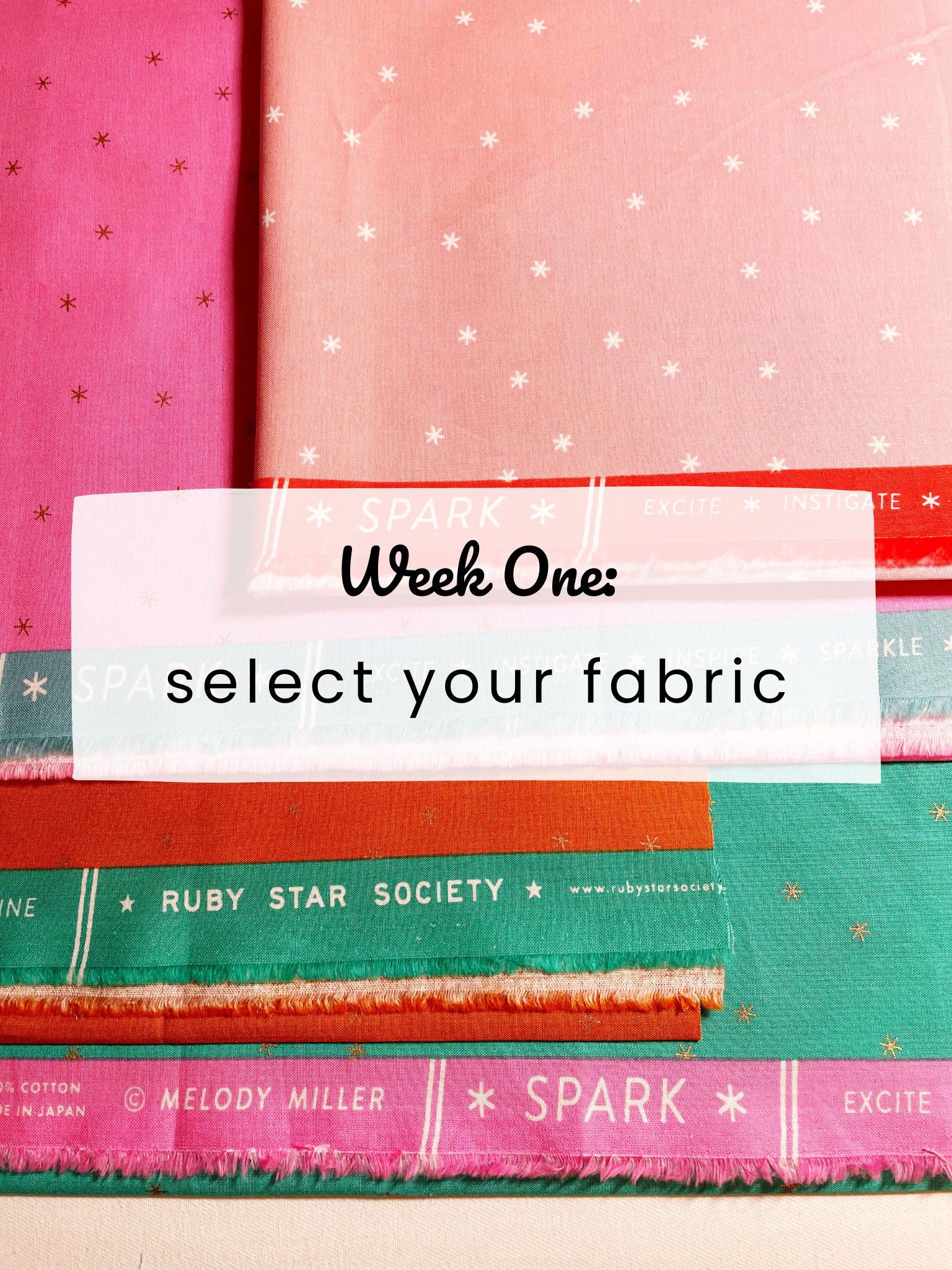 Nyla Star - Week 1 – Compass and Wildflower Studio
